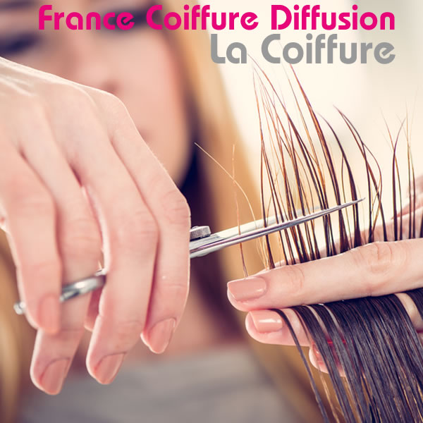 La Coiffure le matériel de coiffure et les produits de coiffure